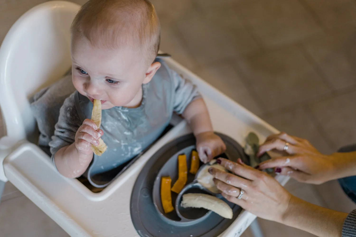 First Foods Academy — Nutrition Mamma