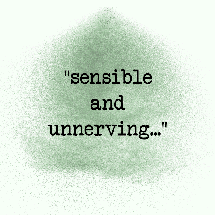 STINK THE MOVIE — TWO EYE MONKEY | web design + content creation + branding