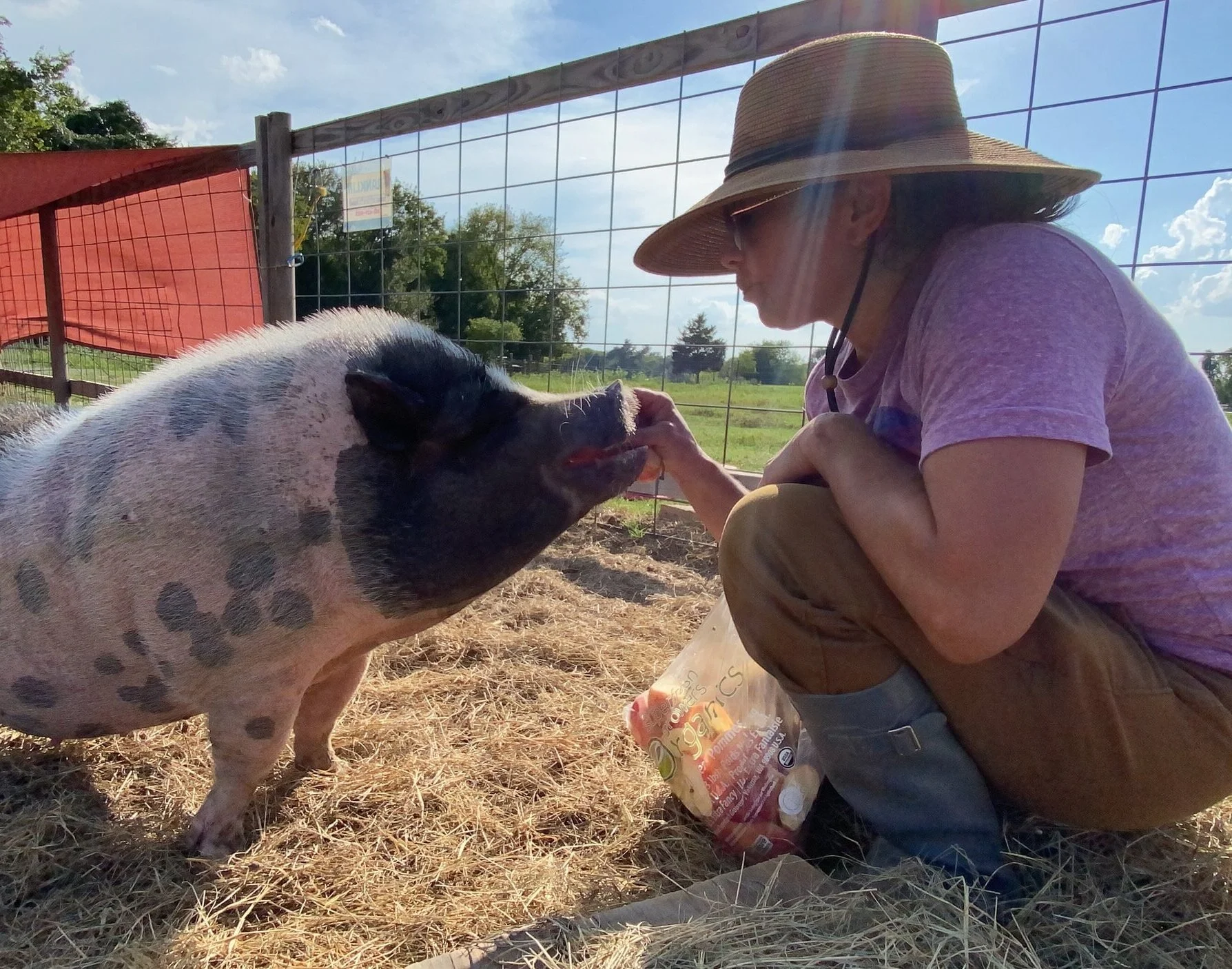 Team 1 — Central Texas Pig Rescue