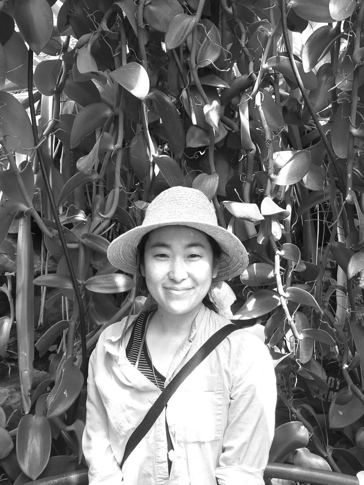 Michelle Lee Illustration