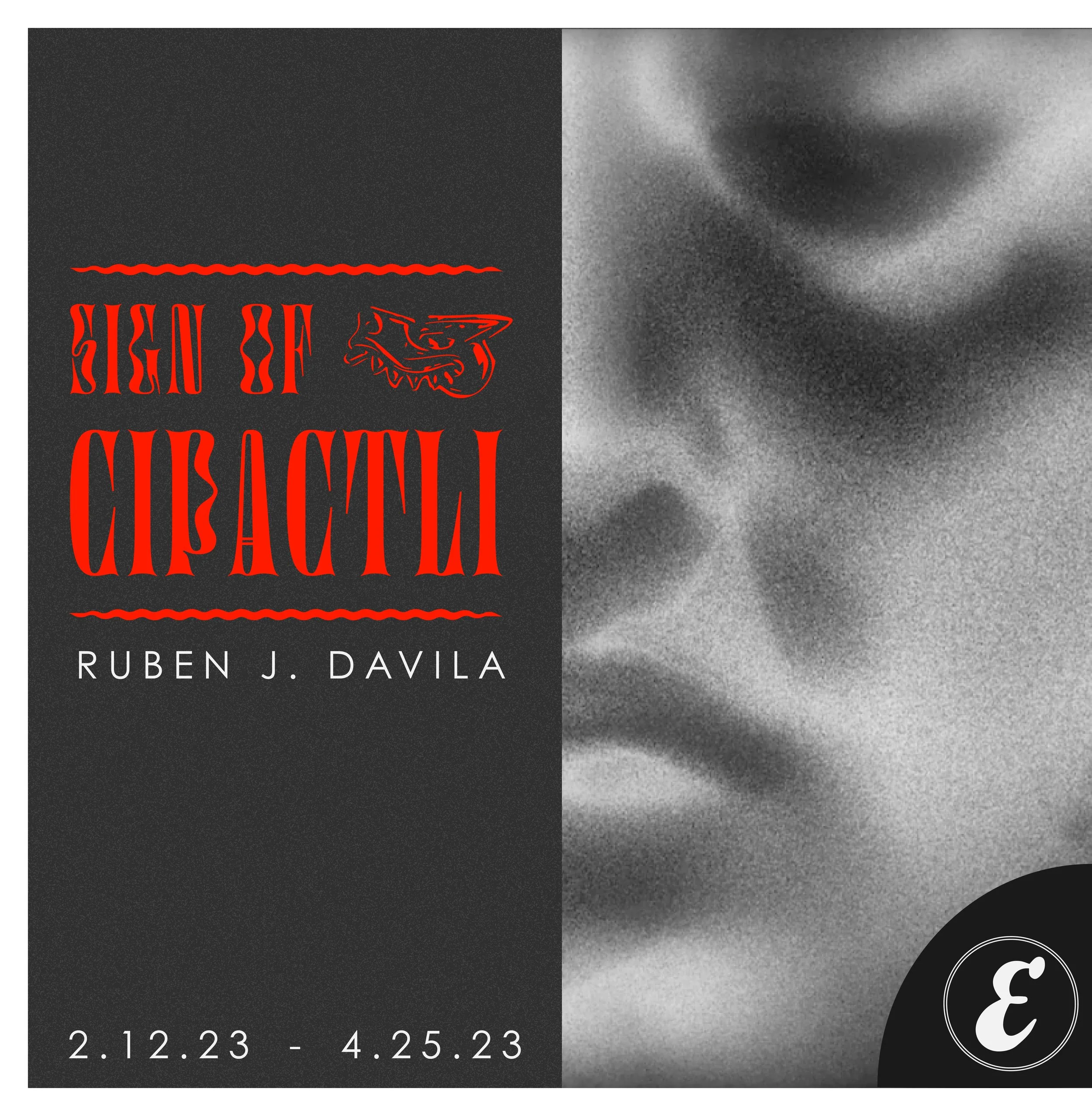 Visual Gallery — Elastic Arts Foundation