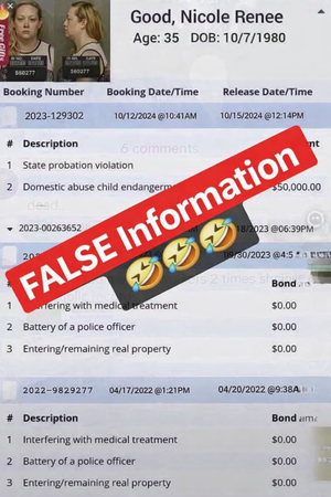 Viral Misinformation About Renee Good's Arrest Record Spread After Her ...