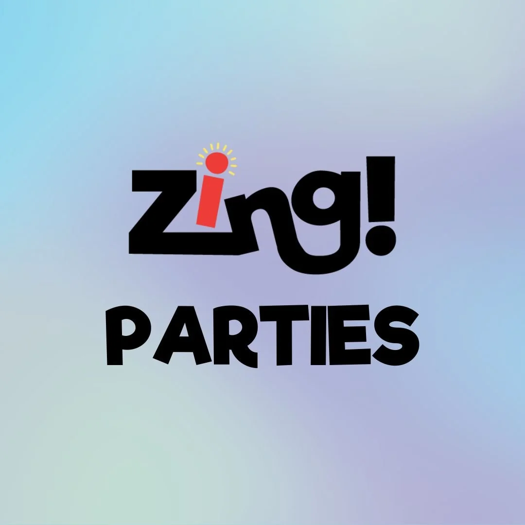 Birthday Party (We Come To You) (Star Package) — Zing!