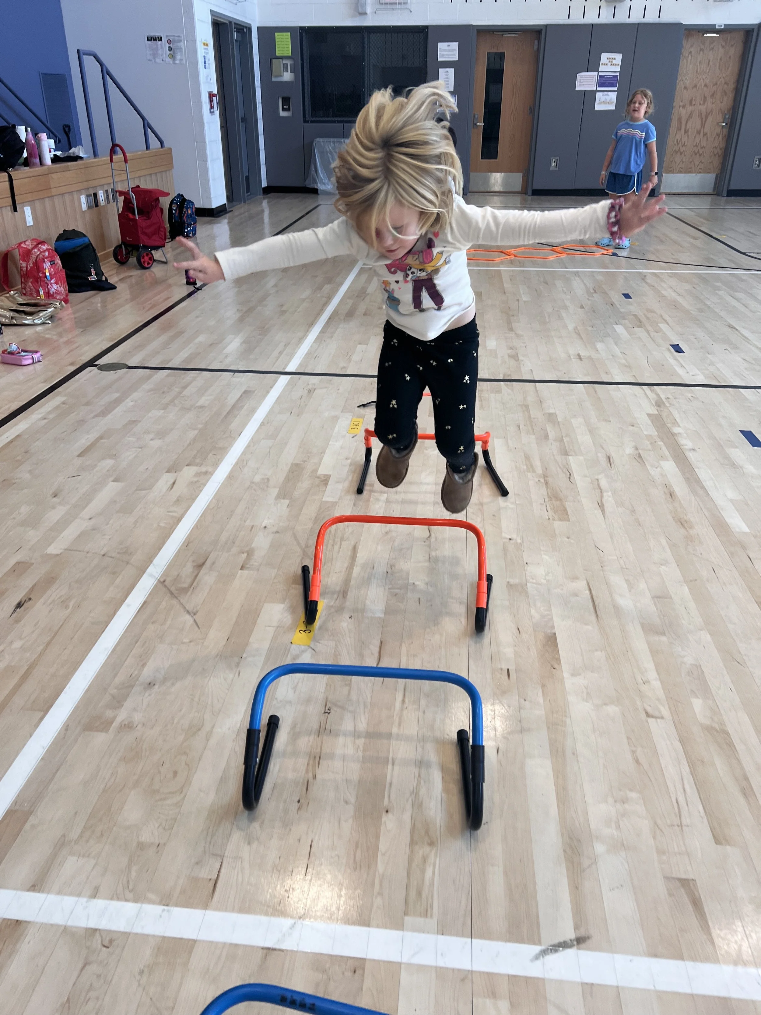 Education & Experiences — Zing!