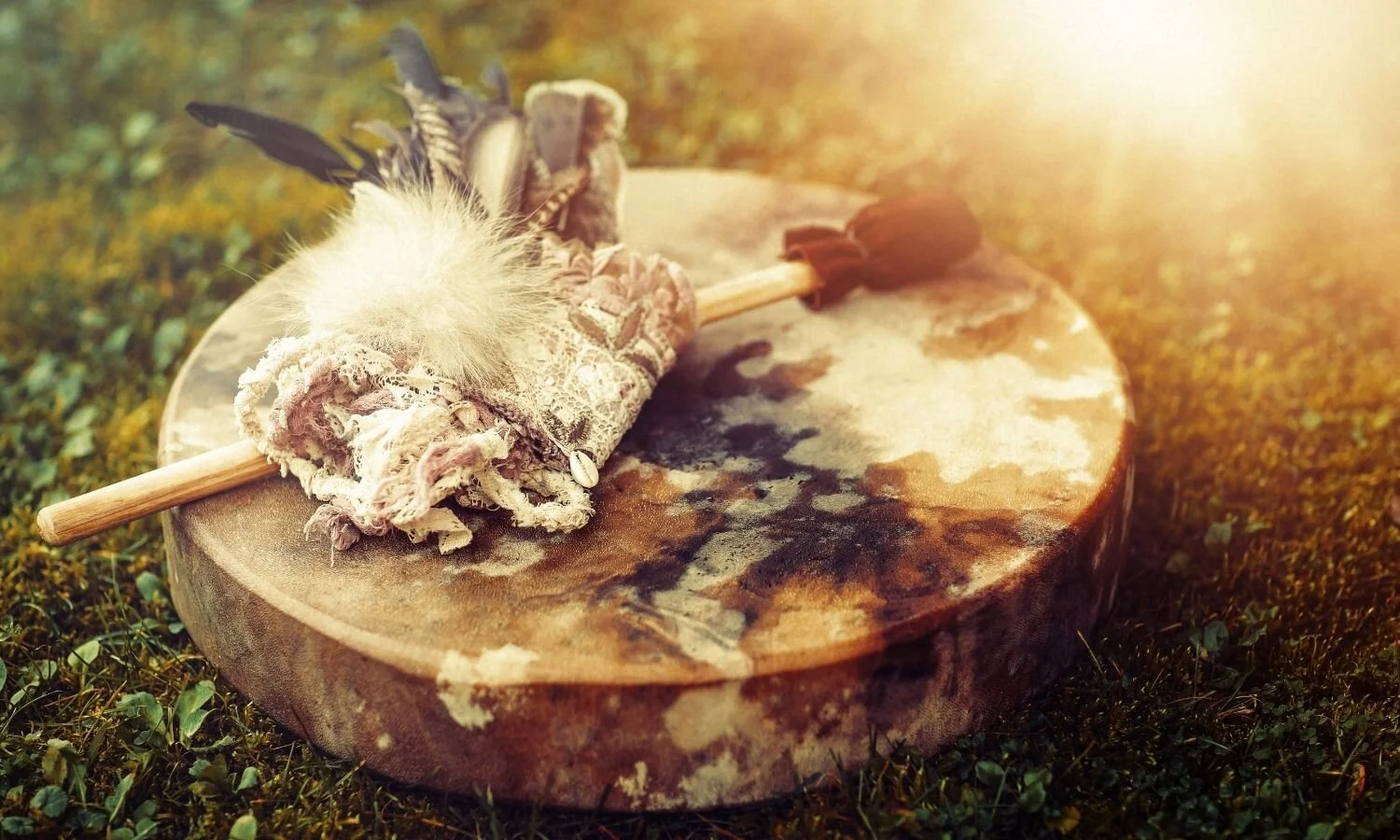 The Foundation for Shamanic Studies Europe UK — Shamanic Studies