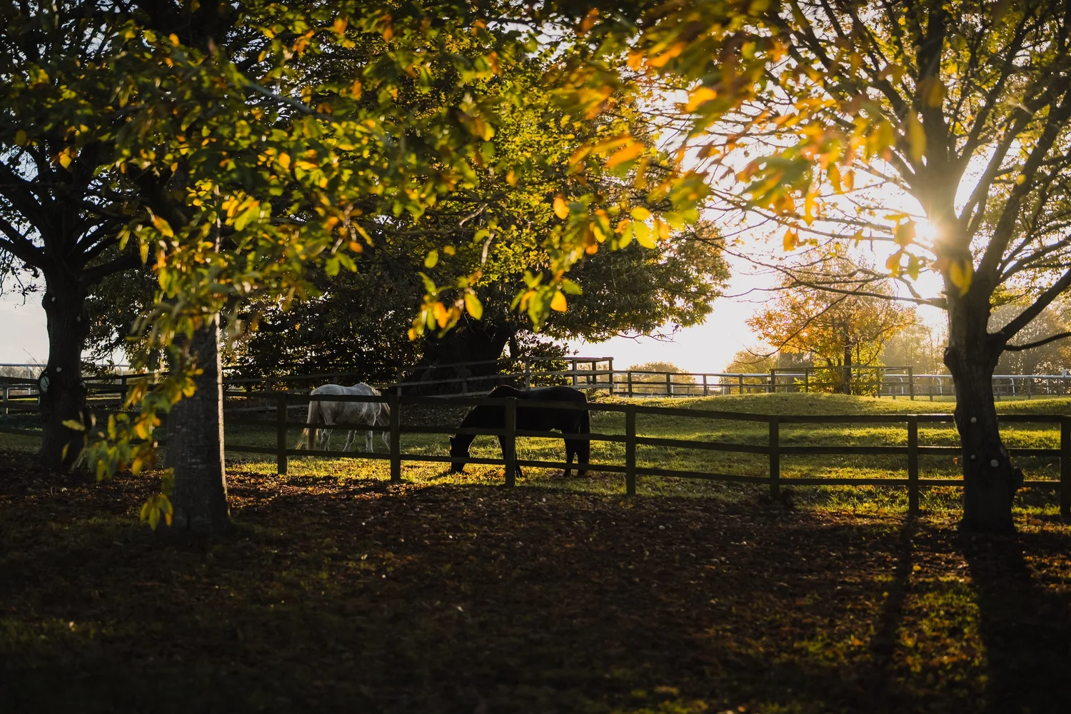 Waresley Park Estate, Cambridge | Swim, Spa & Stay