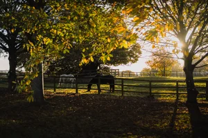 Waresley Park Estate, Cambridge | Swim, Spa & Stay