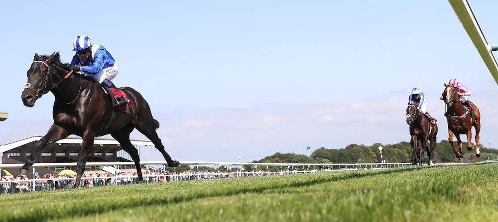 Mutasaabeq back on track at Haydock — CHARLIE HILLS