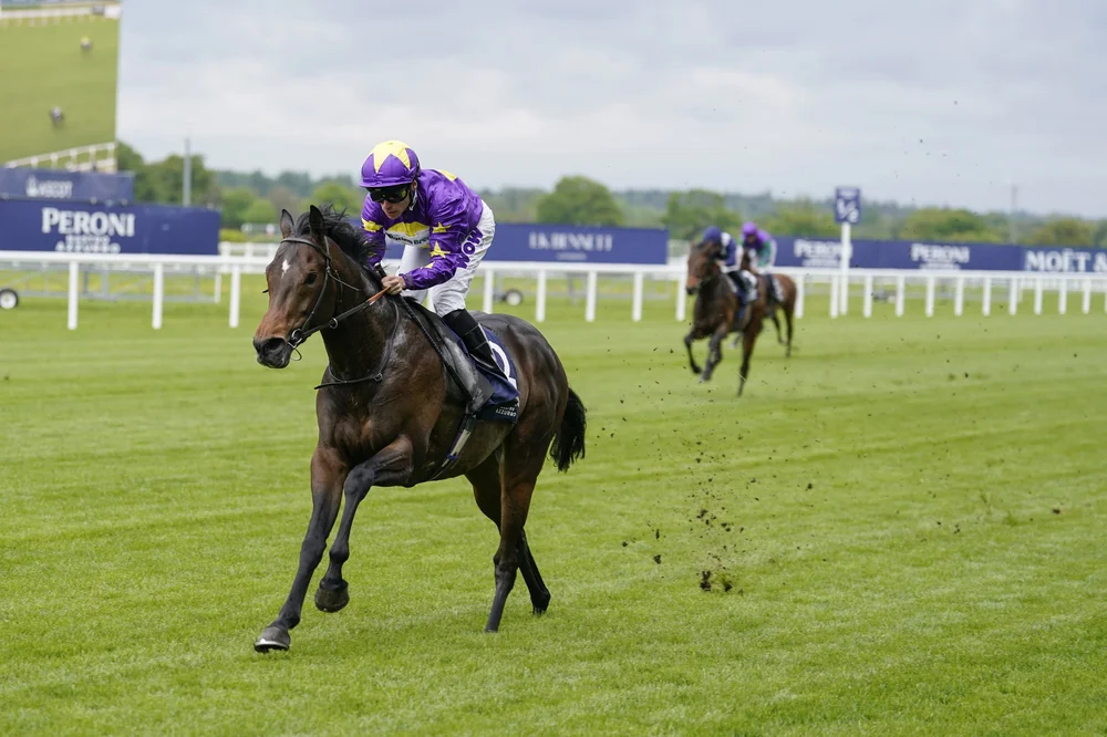 Four in a row for Racingbreaks Ryder as he books his Royal Ascot ticket ...