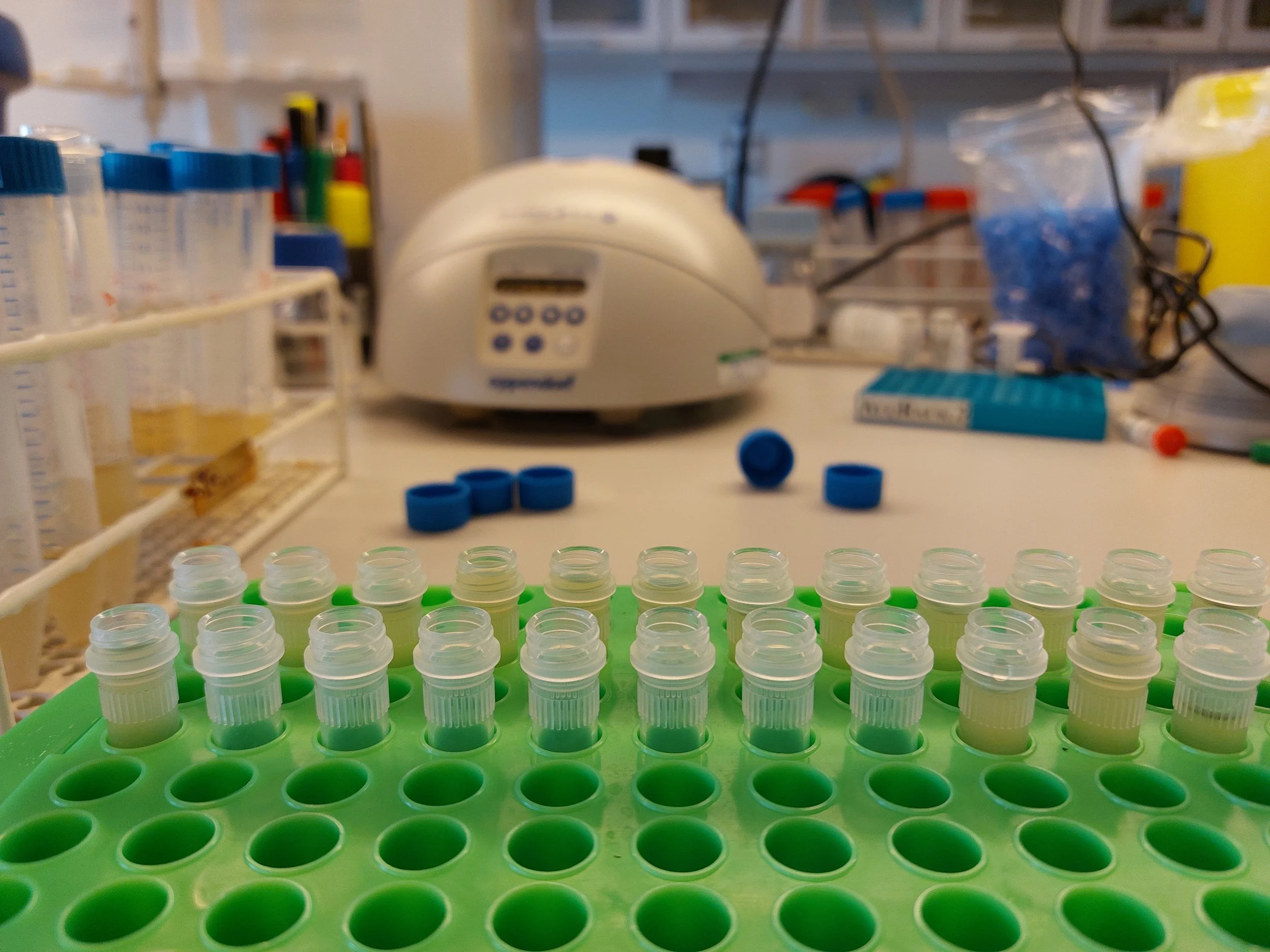 Press — Regenberg Lab