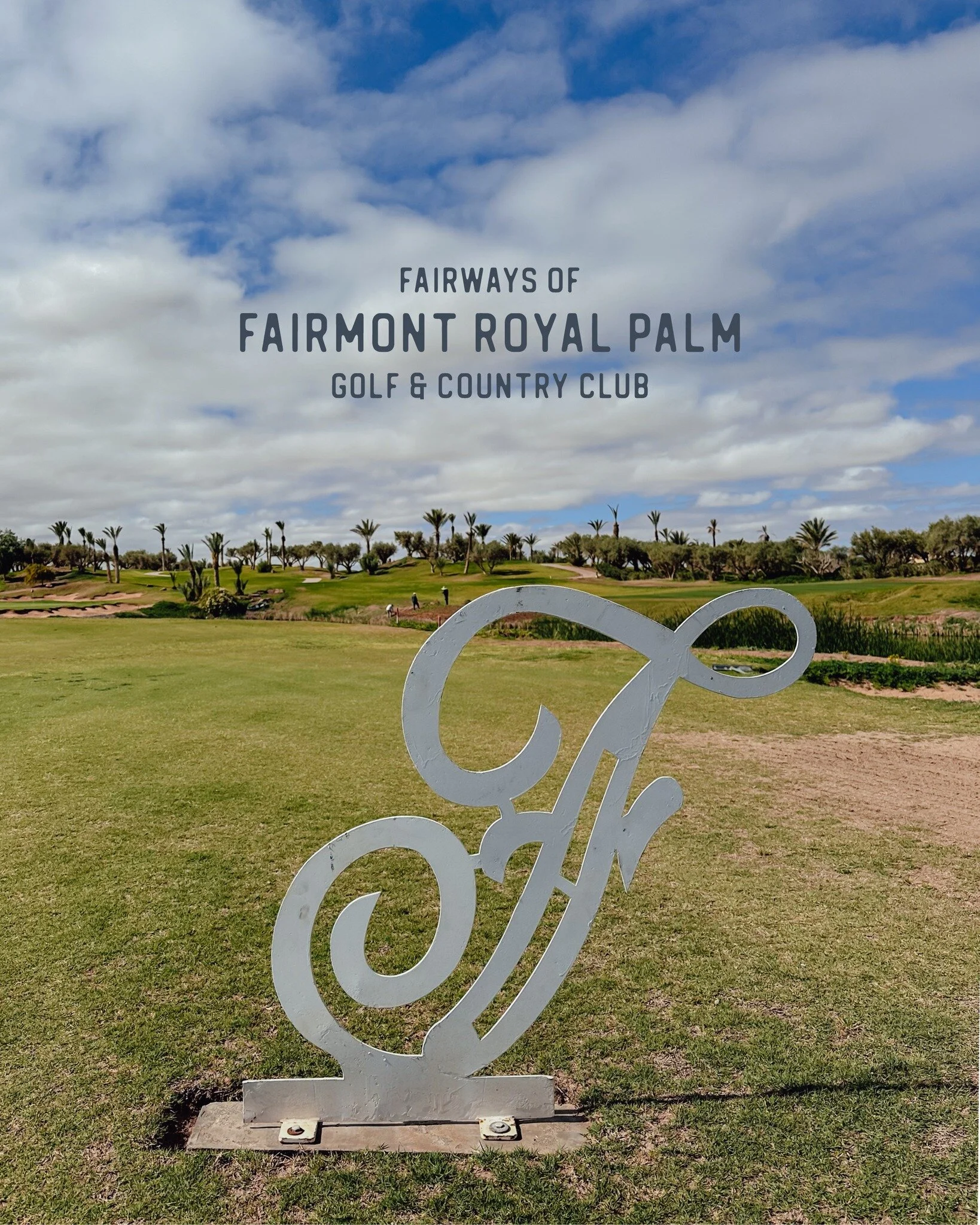 Golf Waves - Marketing & Events