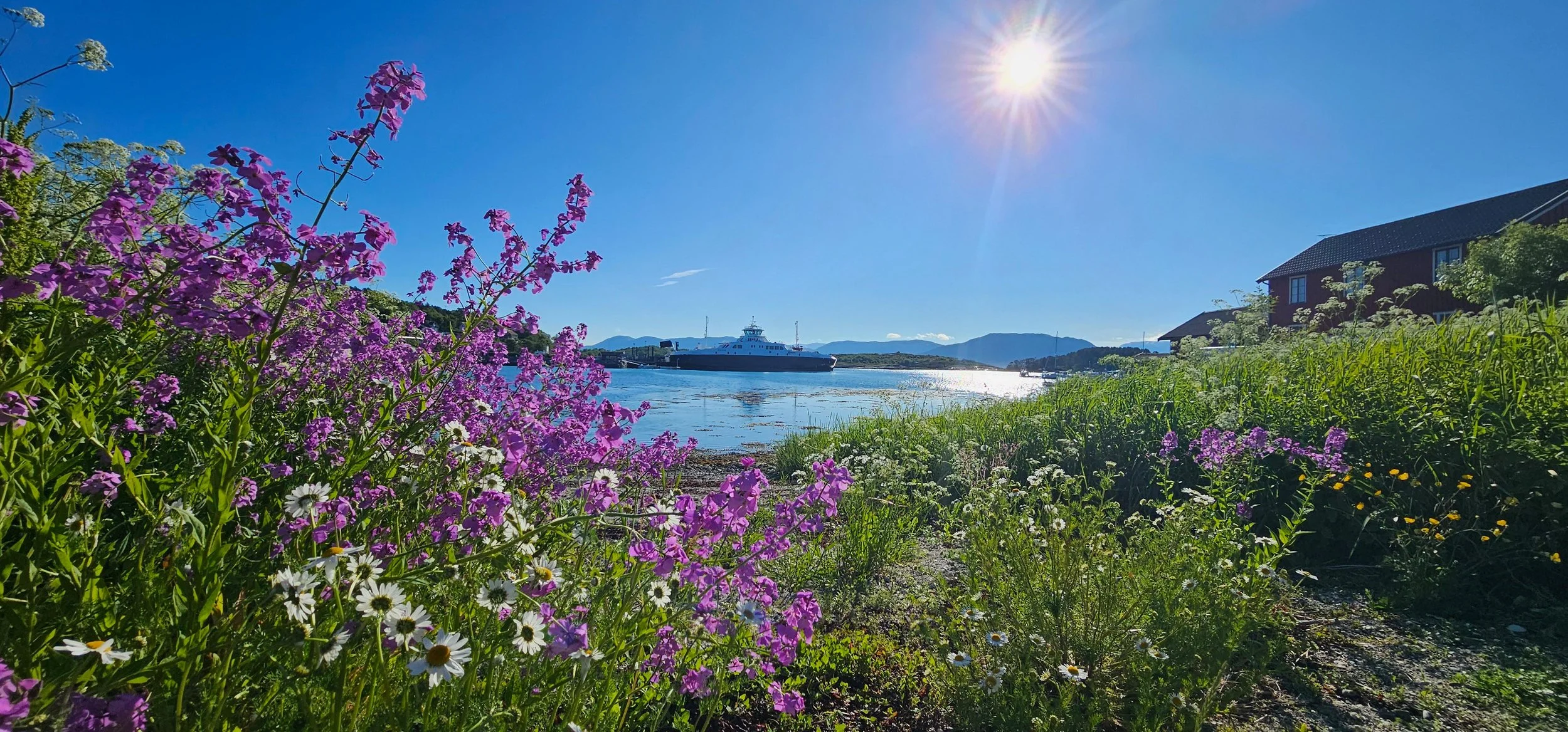 Reisetips! Buss til Tjøtta kai - Reis Nordland