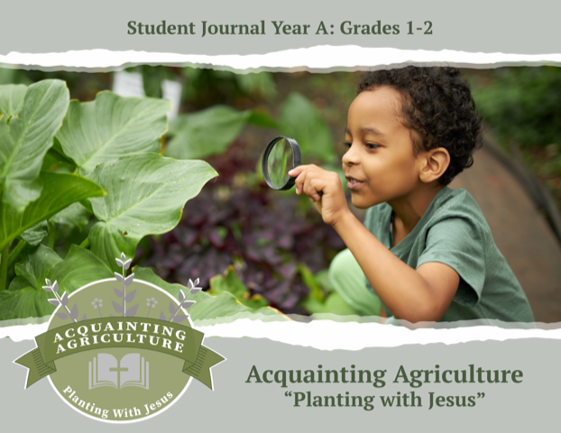 Elementary School — Acquainting Agriculture