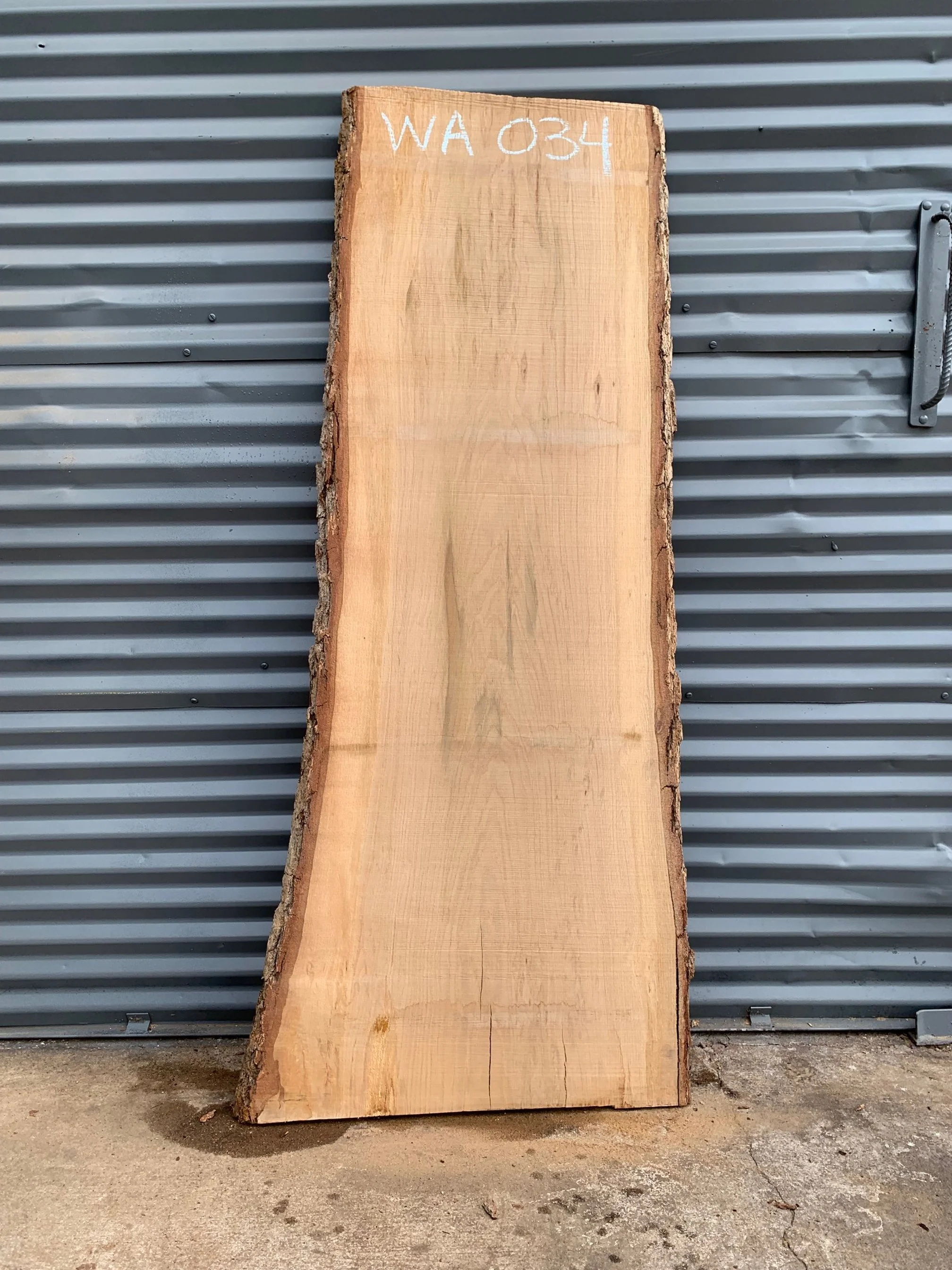 59" long x 36"-39" wide x 2.75" thick Water Oak Live Edge Slab. Kiln ...