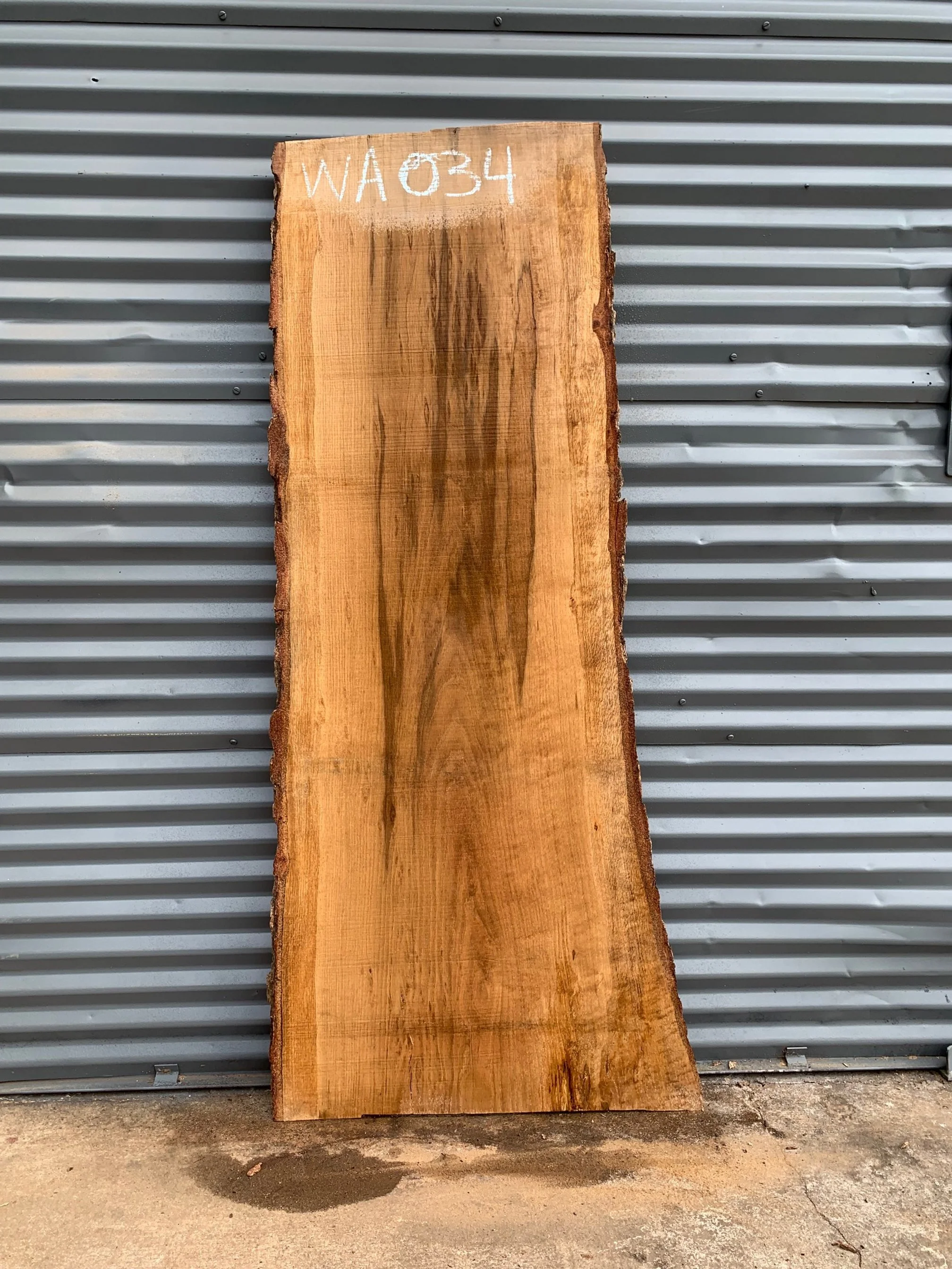 59" long x 36"-39" wide x 2.75" thick Water Oak Live Edge Slab. Kiln ...