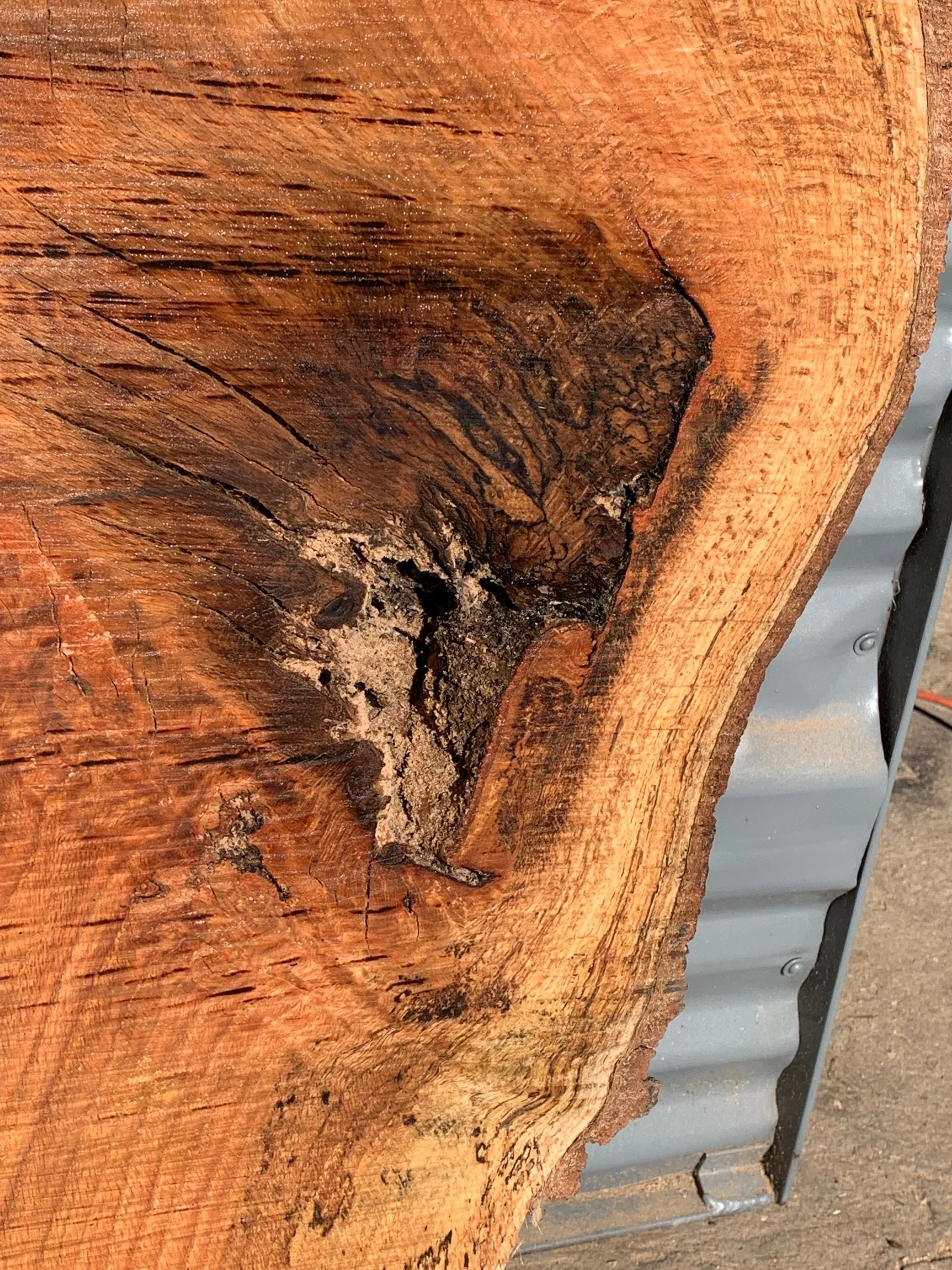 Live Edge Wood Slabs Seattle