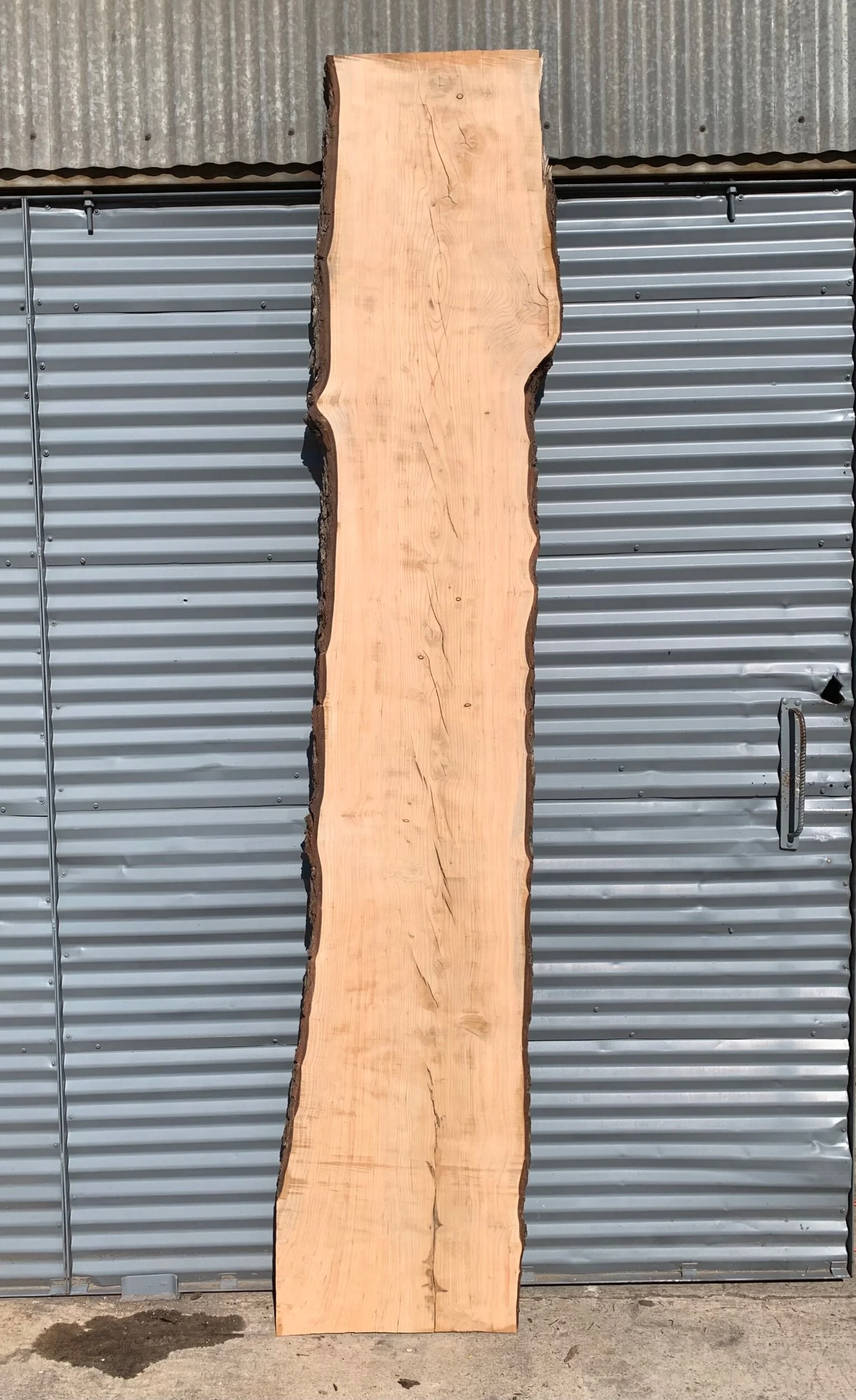 116" long x 18"-26" wide x 3" thick Deodar Cedar Live Edge Slab. Kiln ...
