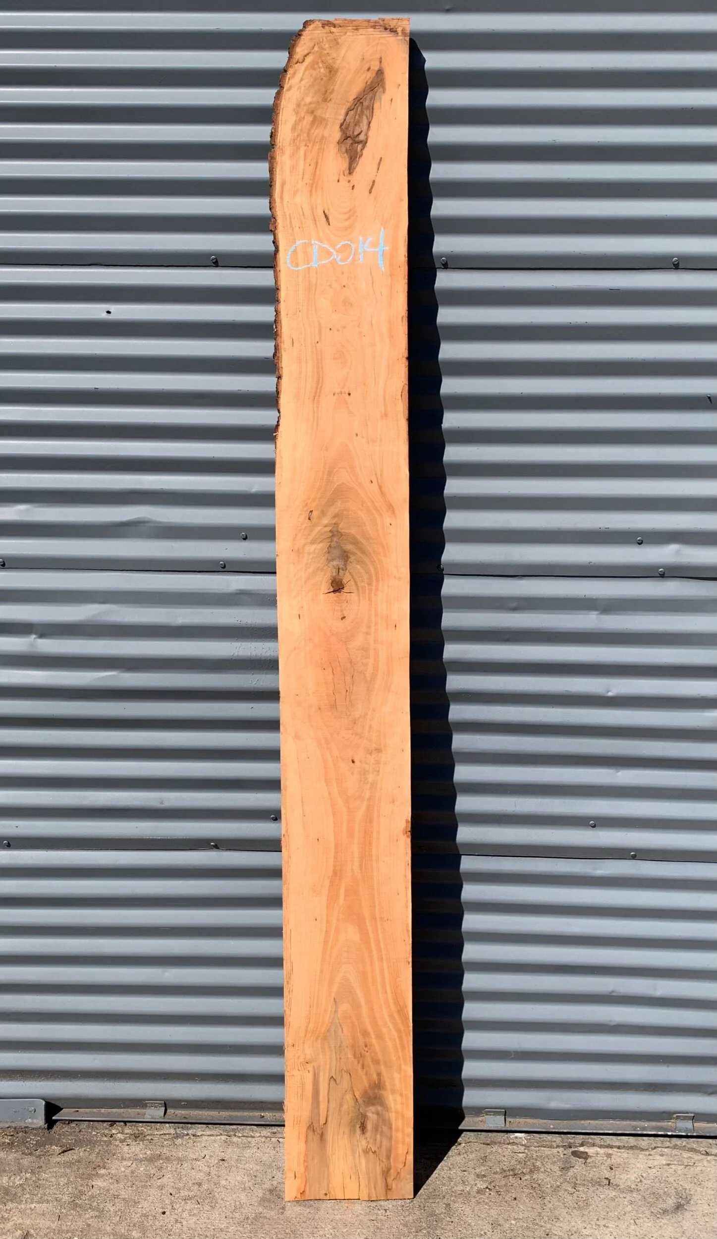 116" long x 22"-27" wide x 3" thick Deodar Cedar Live Edge Slab. Kiln ...