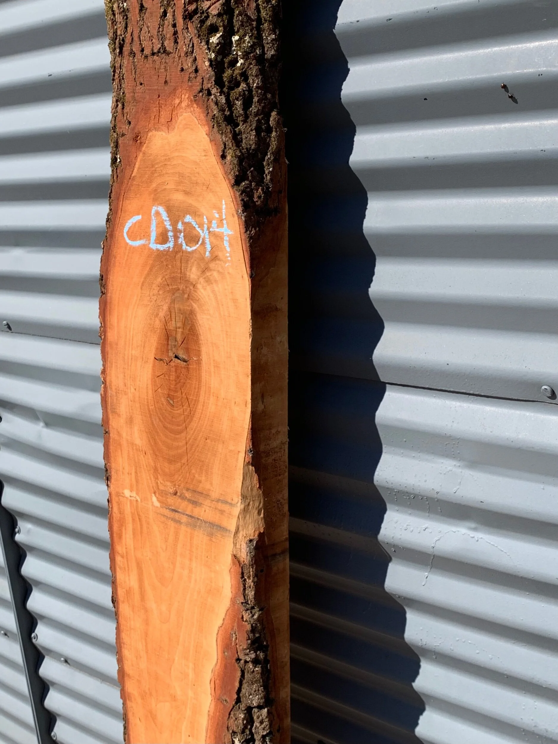 116" long x 22"-27" wide x 3" thick Deodar Cedar Live Edge Slab. Kiln ...