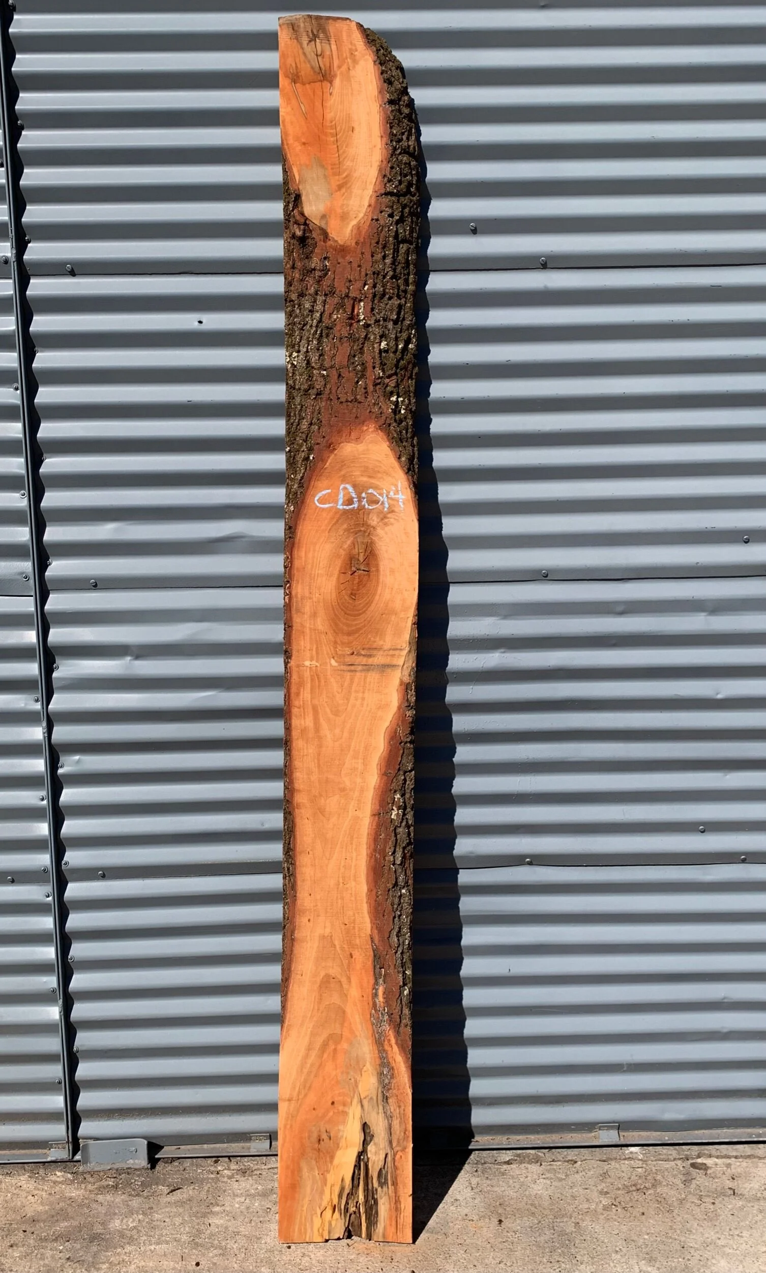 116" long x 22"-27" wide x 3" thick Deodar Cedar Live Edge Slab. Kiln ...