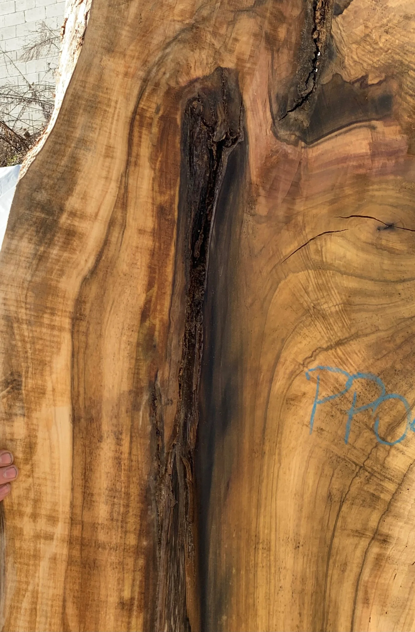Live Edge Wood Slabs — Live Edge Wood Slabs Atlanta