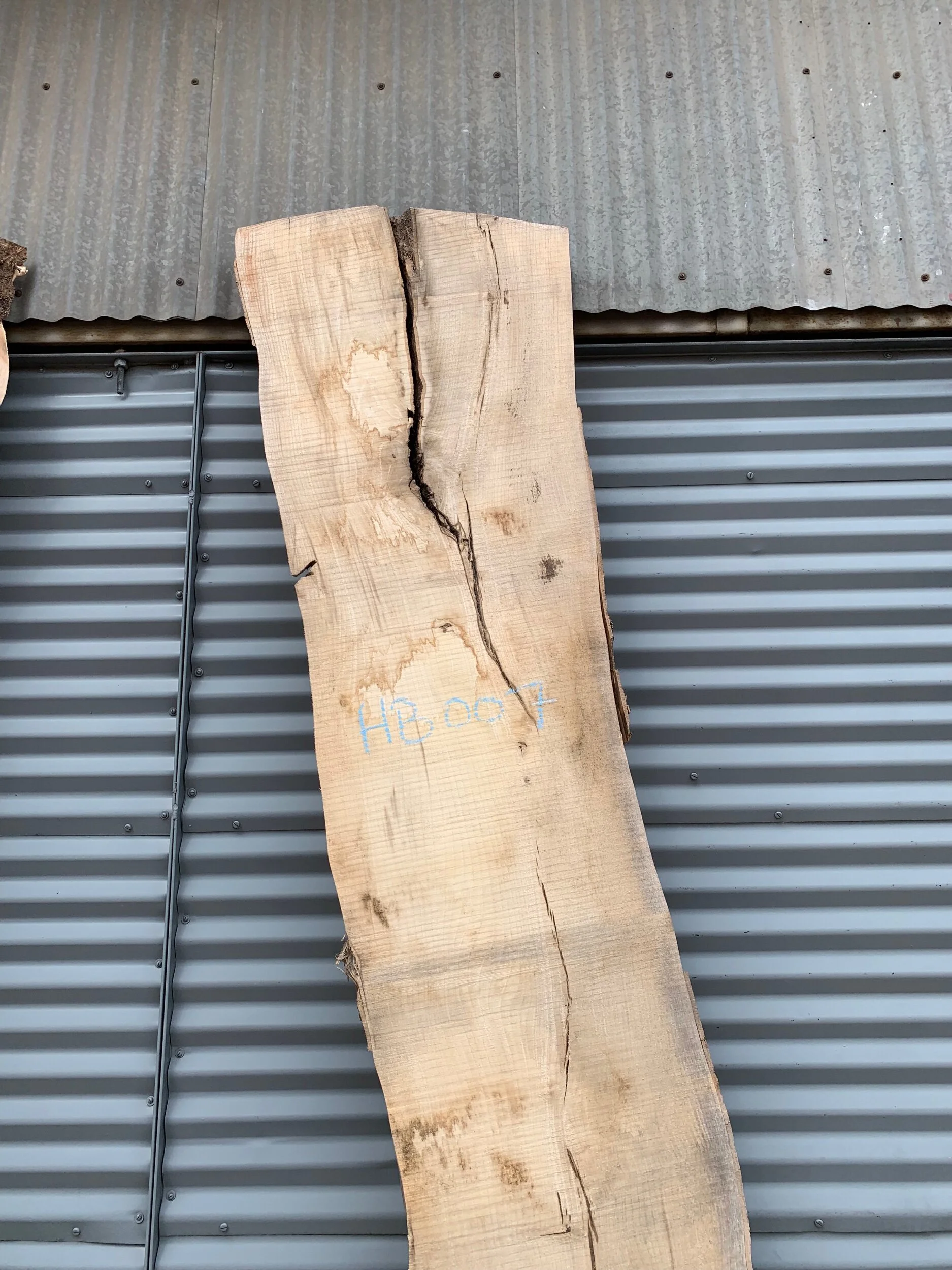 117" long x 14” - 18.25” wide x 2.25” thick Hackberry Live Edge Slab ...