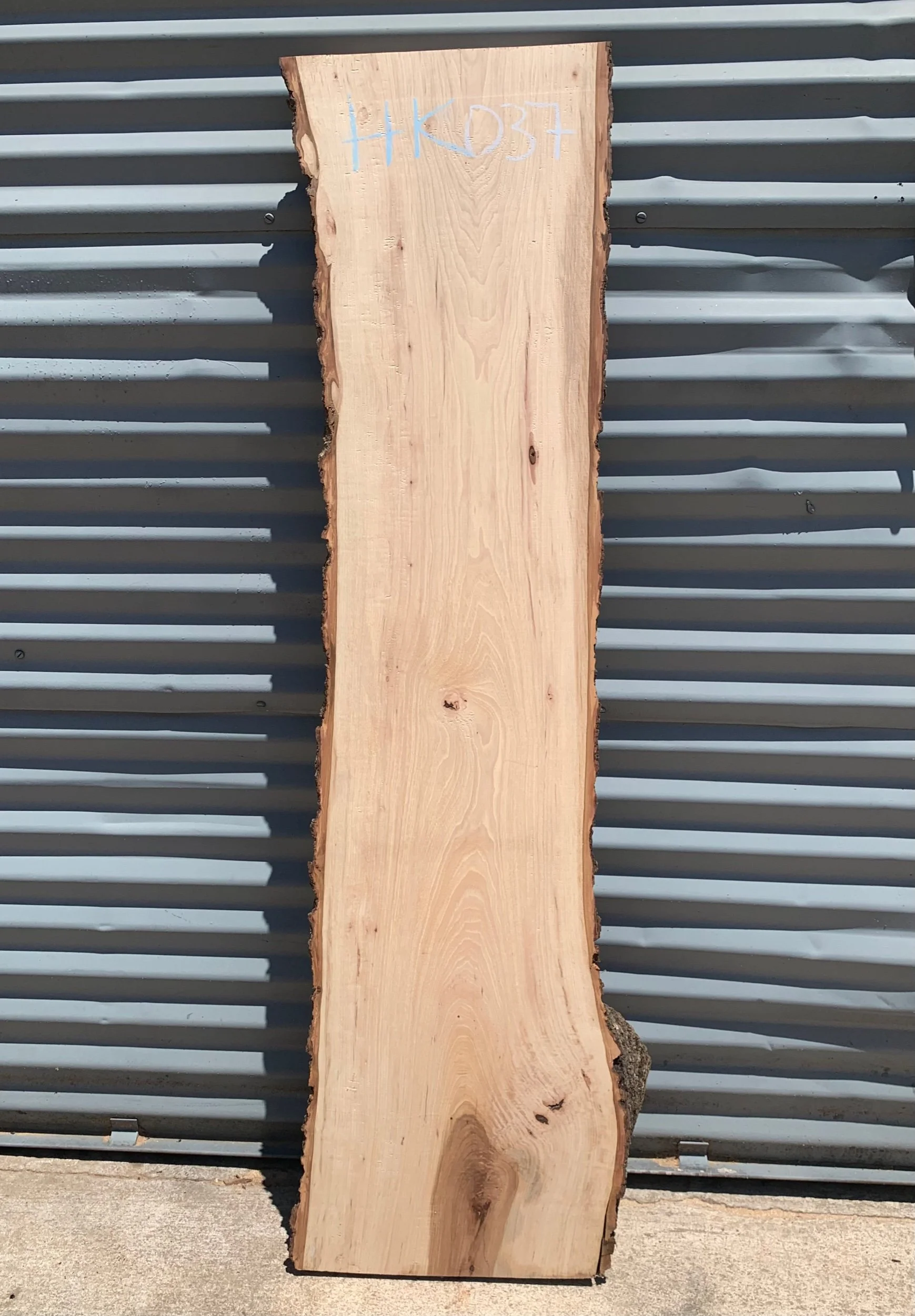 142" long x 17" - 21” wide x 1 3/4" thick Hickory Live Edge Slab. Kiln ...