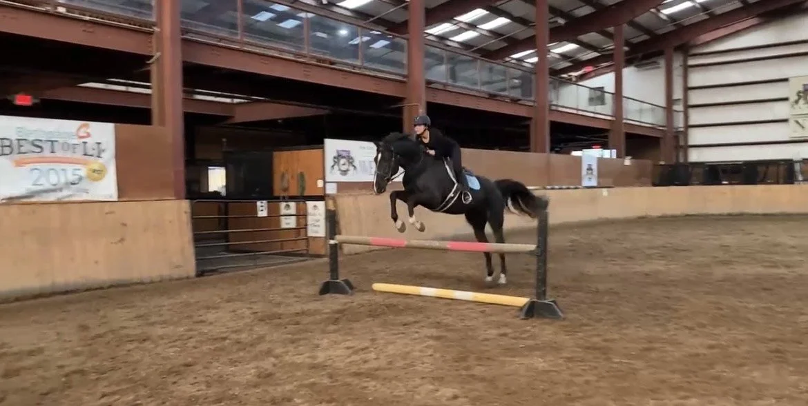 Meet Our Team — New York Equestrian Center