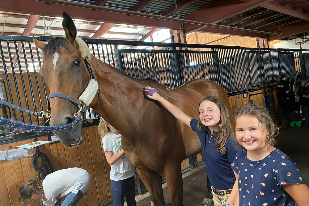 New York Equestrian Center | Horseback Riding Lessons Long Island