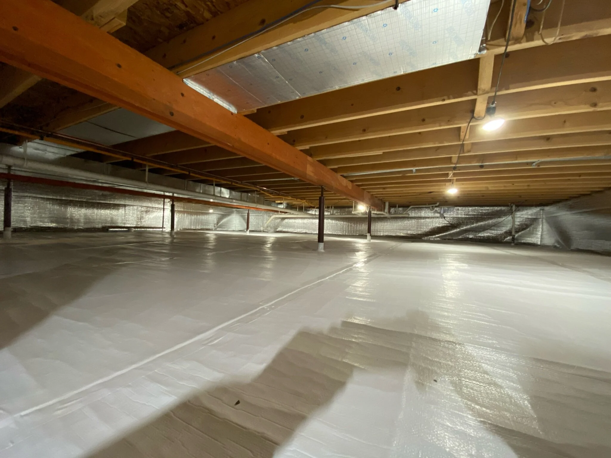 A Brief Guide to Mold, Dust Mites, Radon & Crawl Spaces