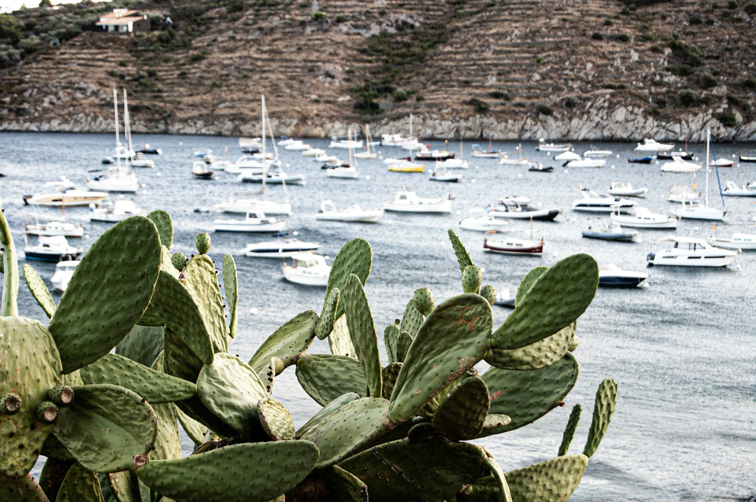 Les plus belles plages et criques de Cadaqués - Homanie