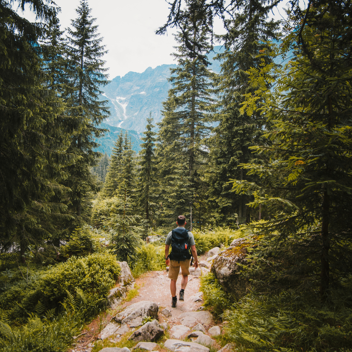 Montagne en été : TOP 10 destinations de vacances - Homanie
