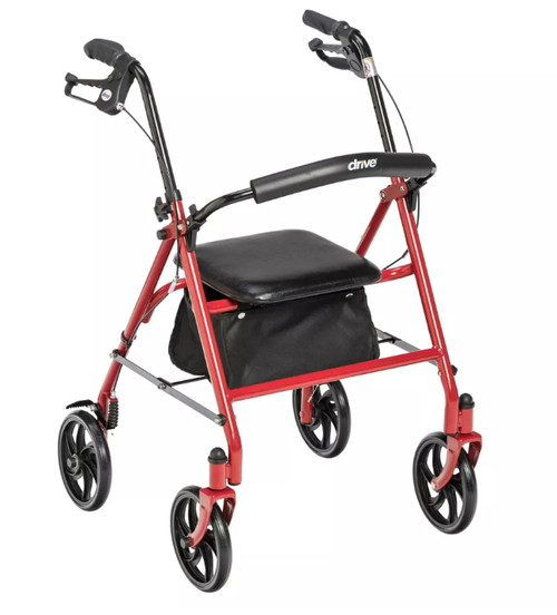 Exploring the World of Walkers — NeuroLab 360