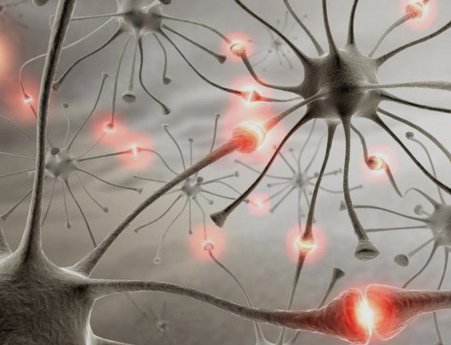 Principles of Neuroplasticity: Use it and Improve it — NeuroLab 360