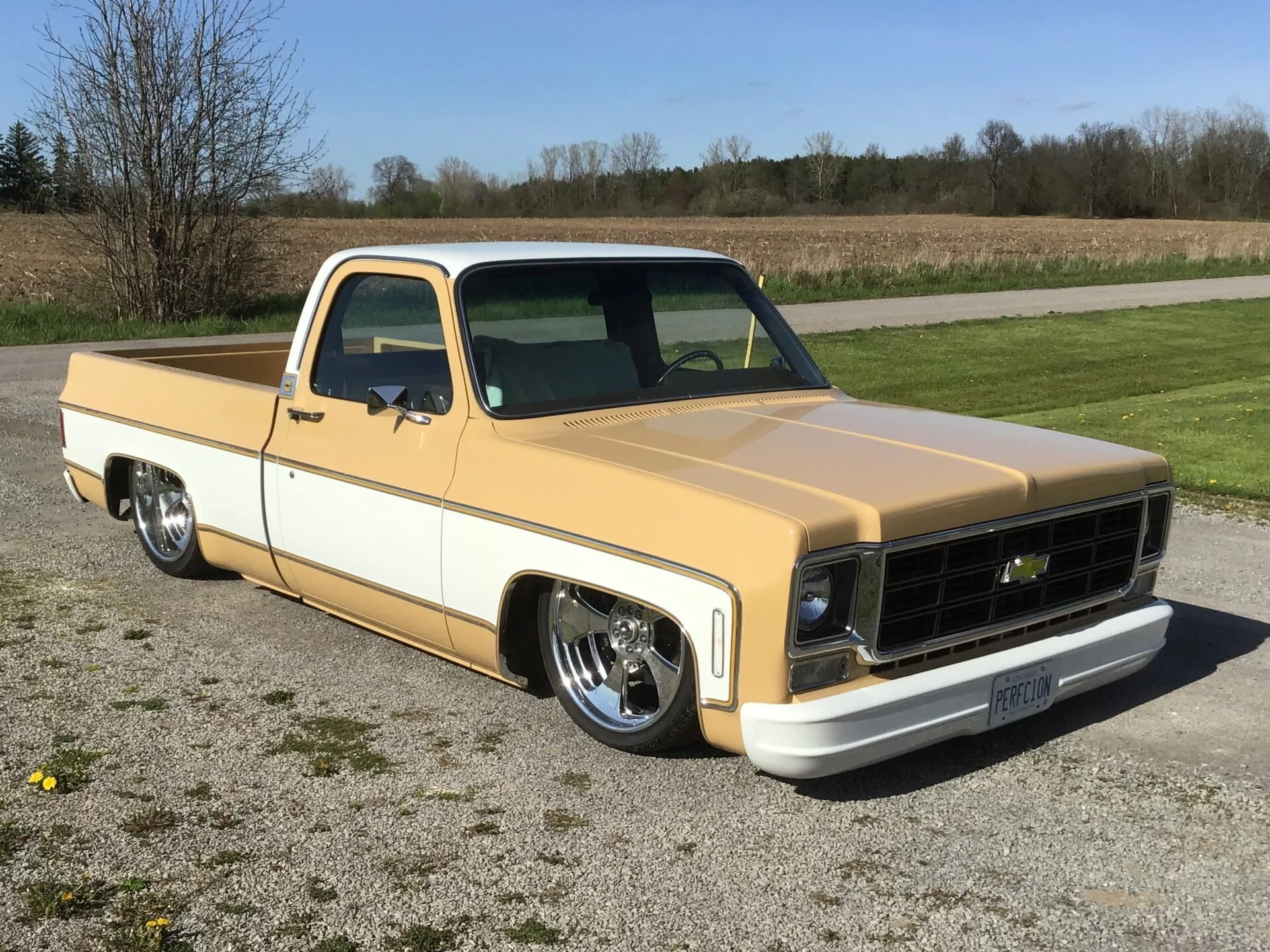 Wild Rides and Fabrication