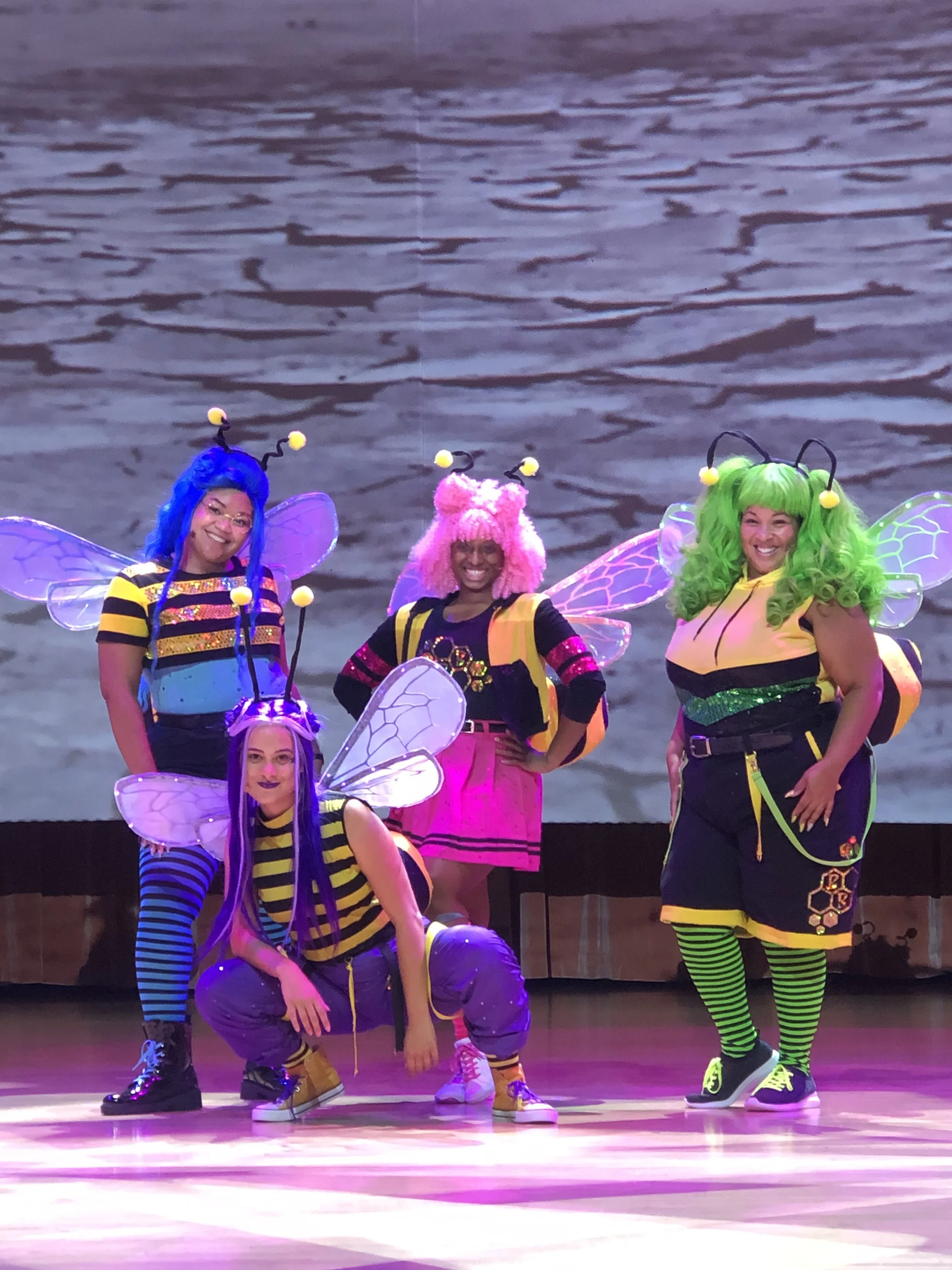 THE BUSY BEES' GREAT ADVENTURE — NICO RAIMONT