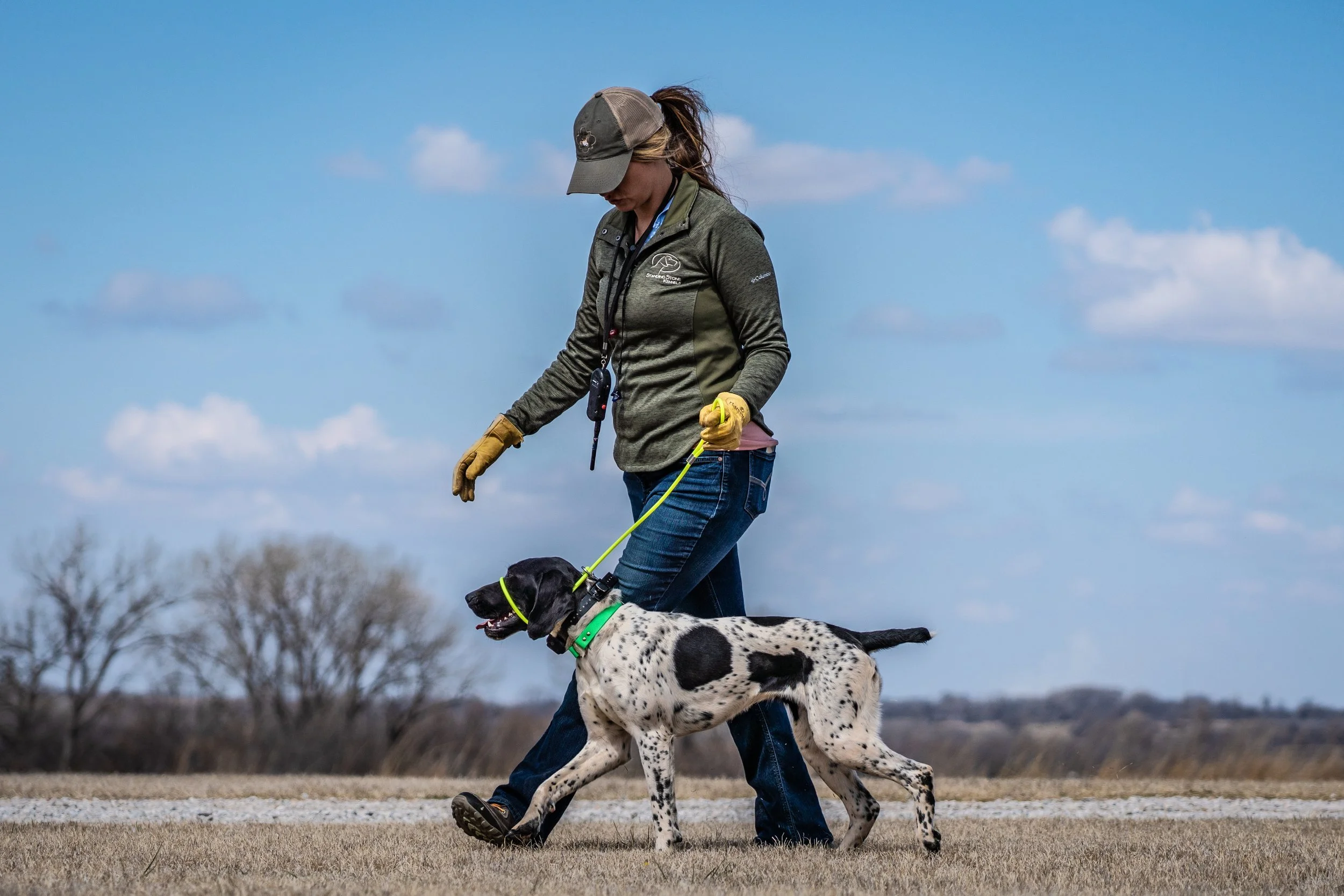 Teach Your Dog to Heel the Right Way — Standing Stone Kennels