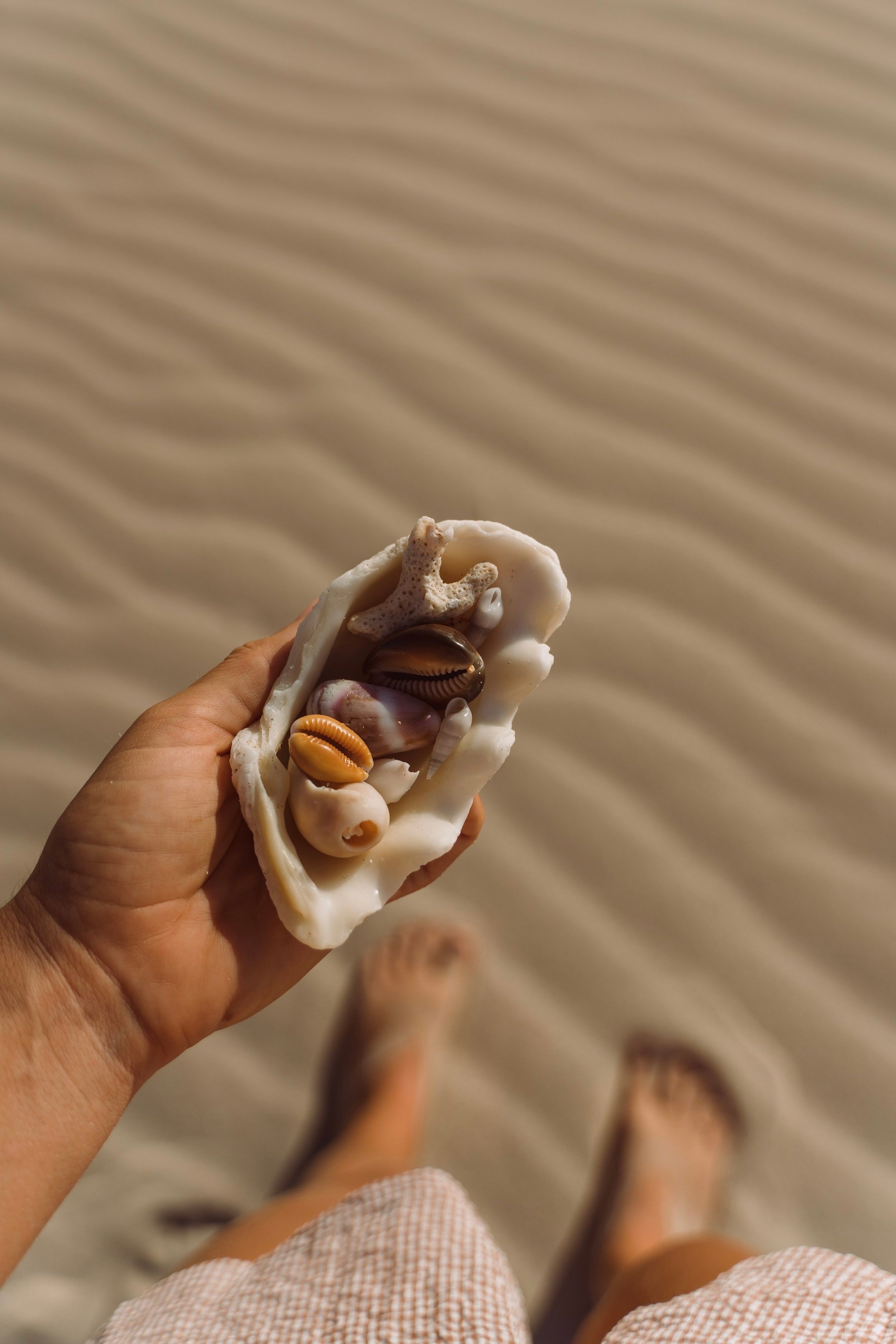 Beginner’s Guide to Manual Shooting — Solside Studio