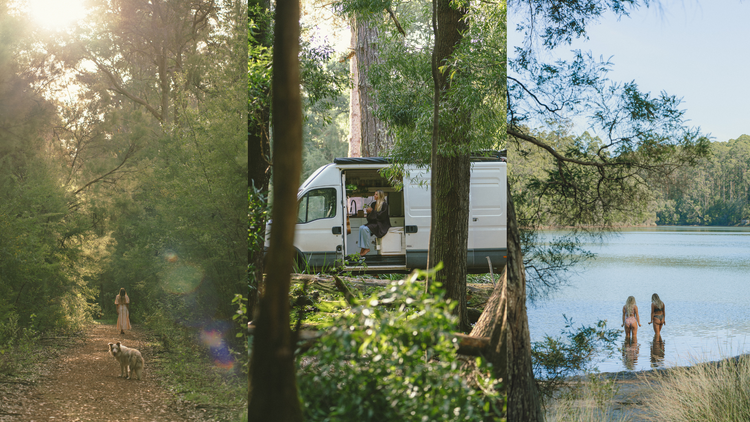 Top Forest Camp Spots in Western Australia's Southwest Region — Solside ...