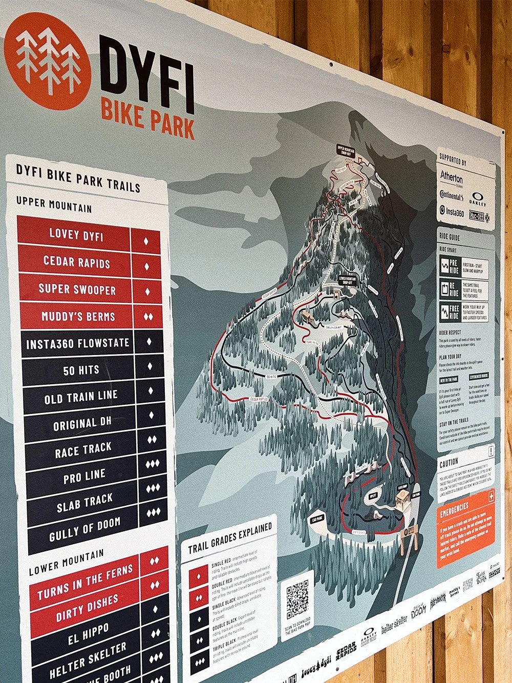 Dyfi Bike Park - Trail Map — grabkowska