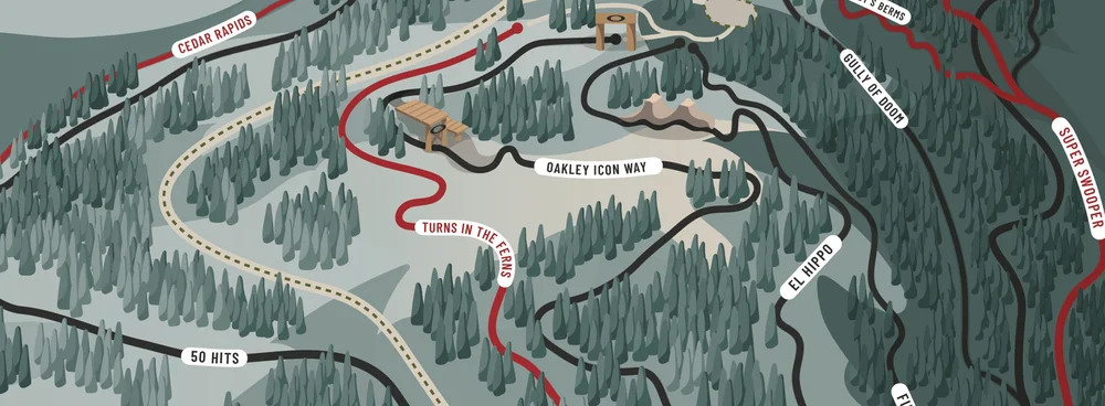 Dyfi Bike Park - Trail Map — grabkowska