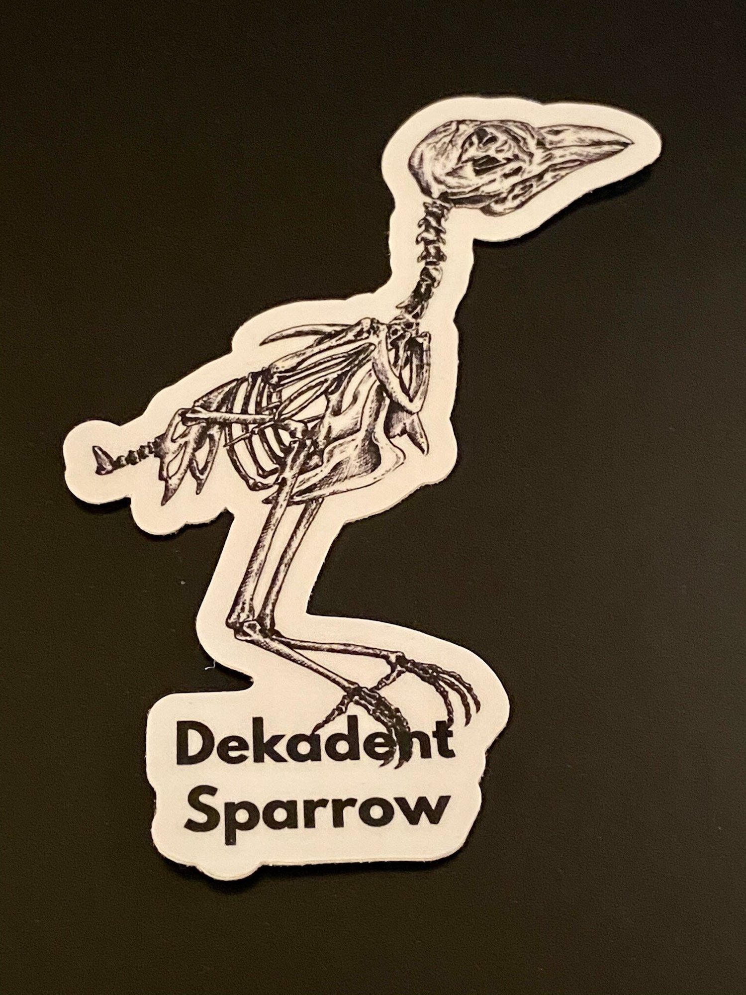 Sparrow Skeleton