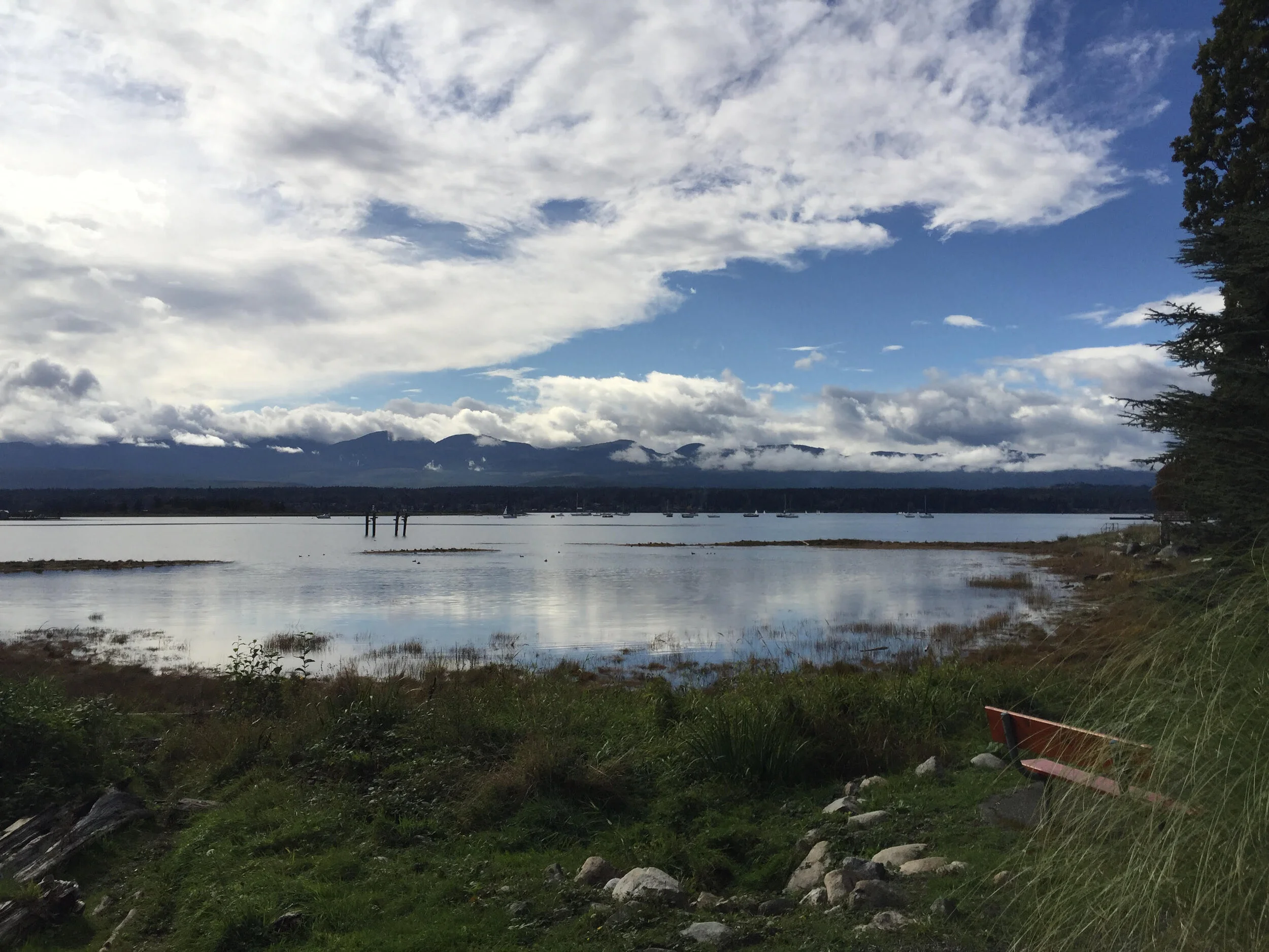 Comox Valley Orthopedics
