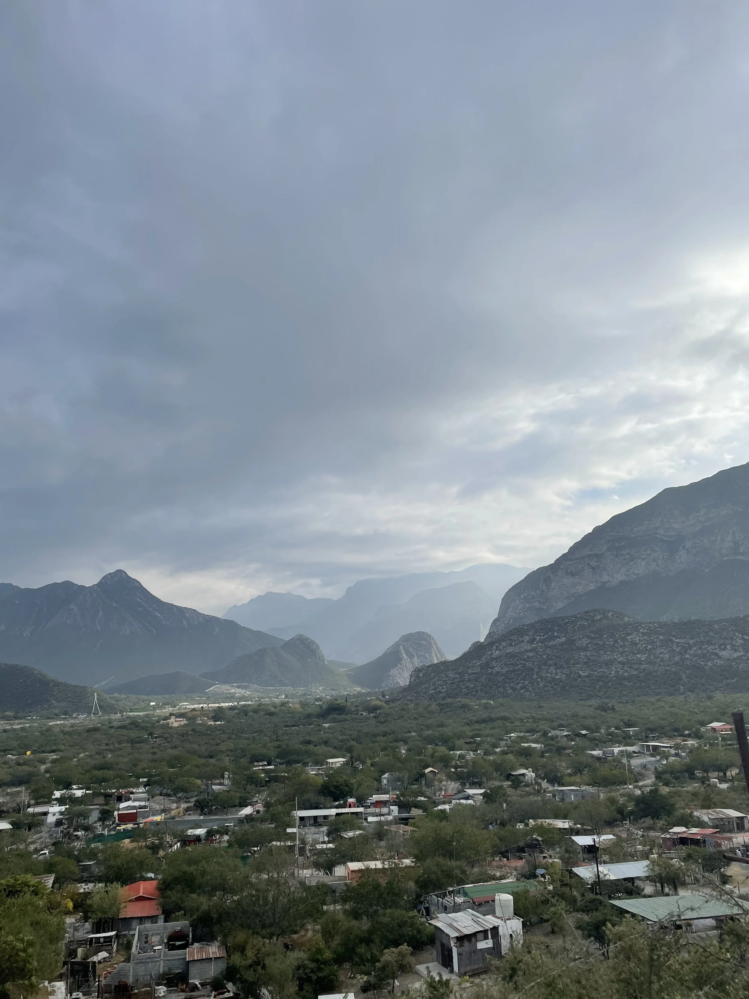 Book Projects — Angie Torres-Beltran