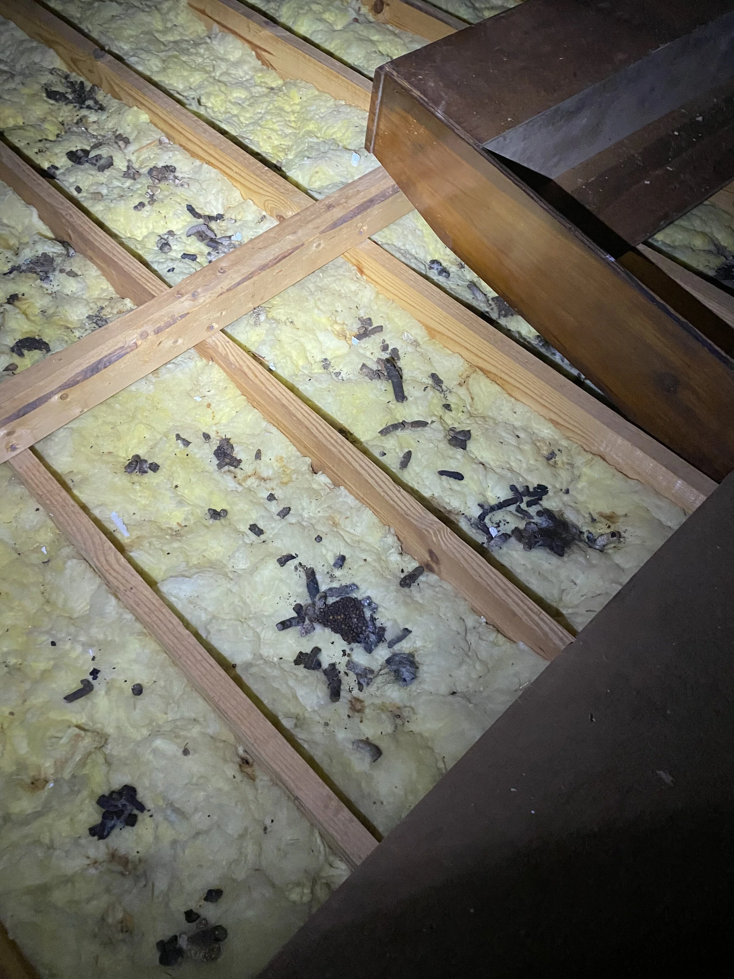 Critter Getter and Prevention, LLC