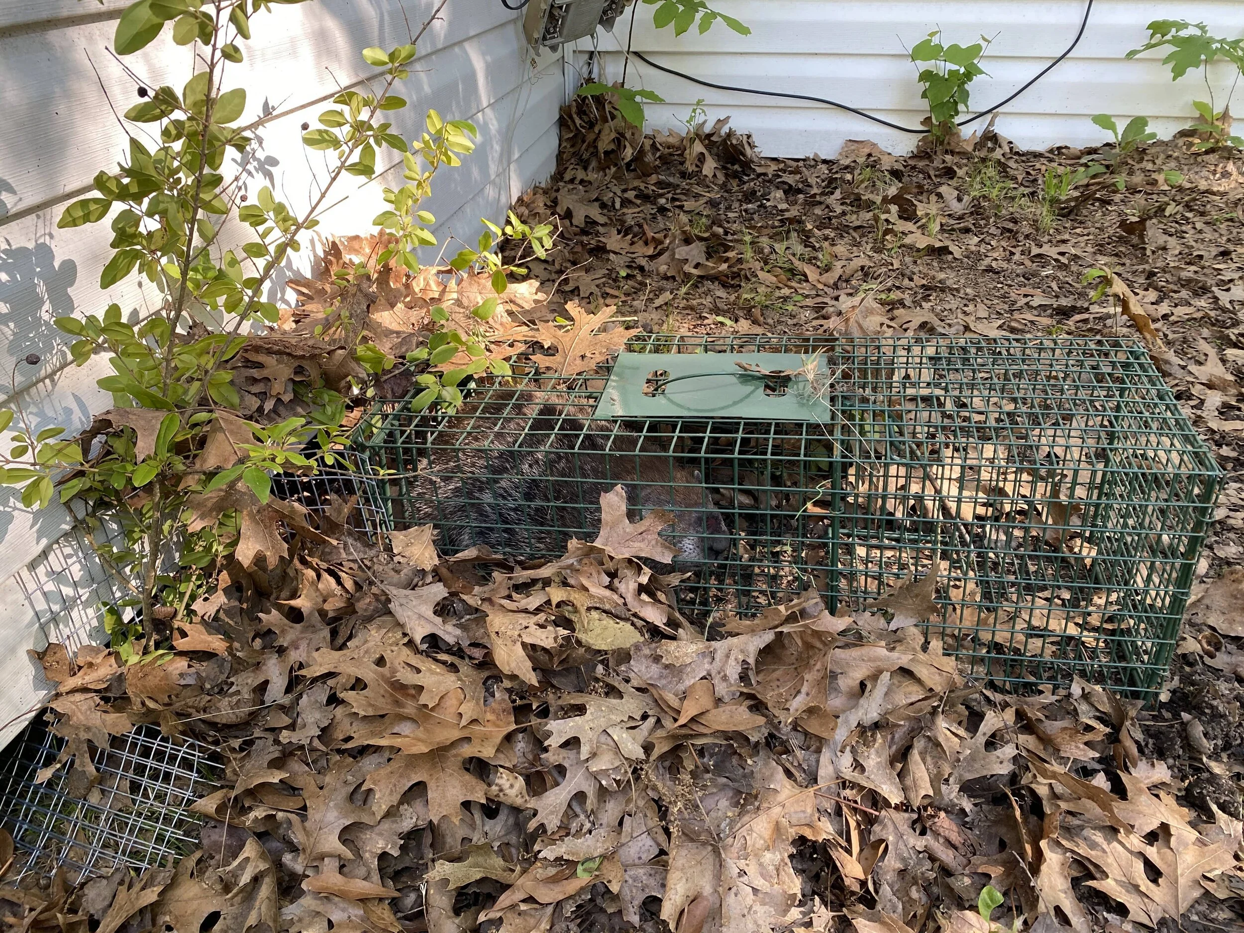 Critter Getter and Prevention, LLC