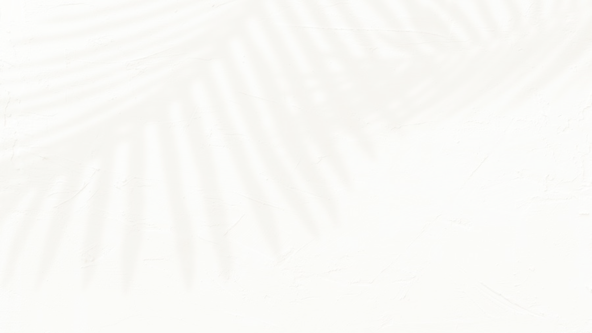 Services — SW CREATIVE