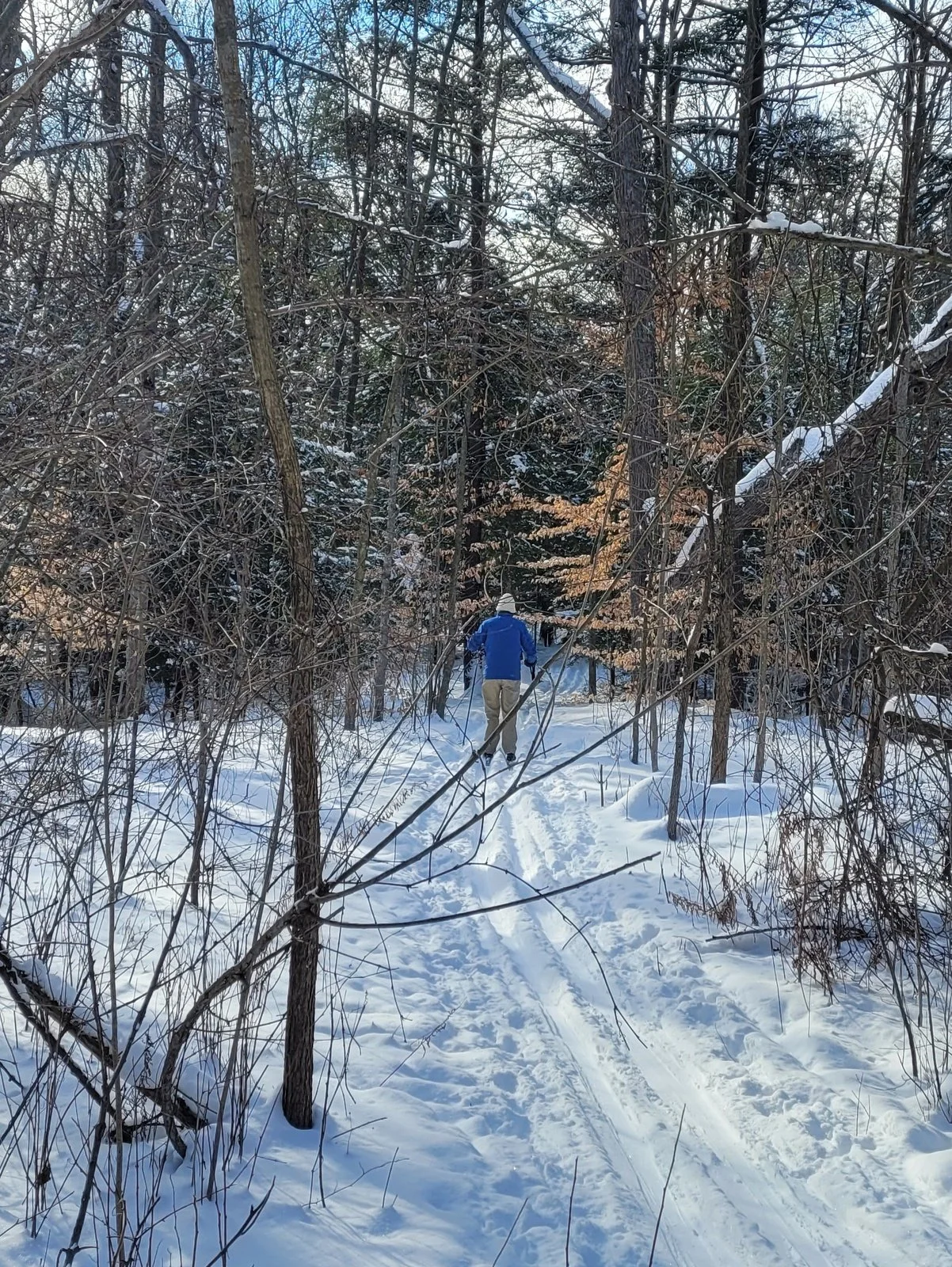 ADVENTURES IN WATERLOO REGION AND GUELPH — Grand Trails