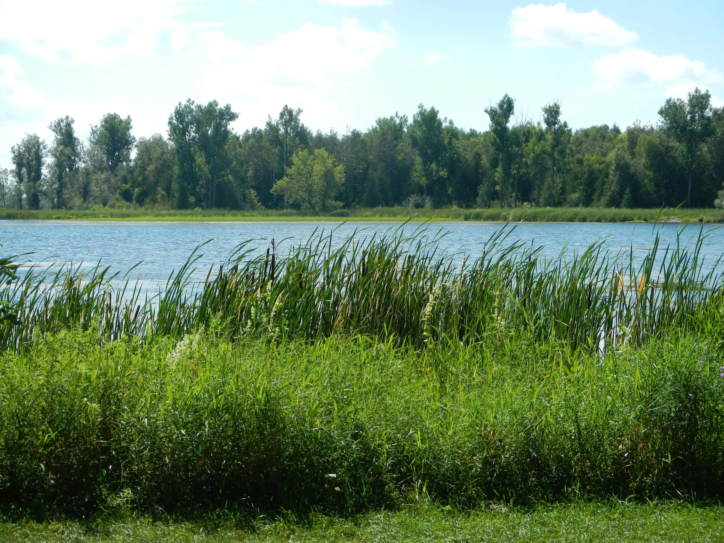 EXPLORE LUTHER MARSH TRAILS — Grand Trails