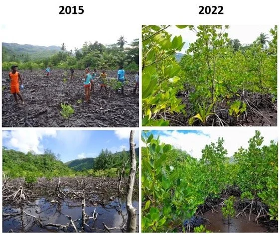 Constance Ephelia supports various environmental and social initiatives ...